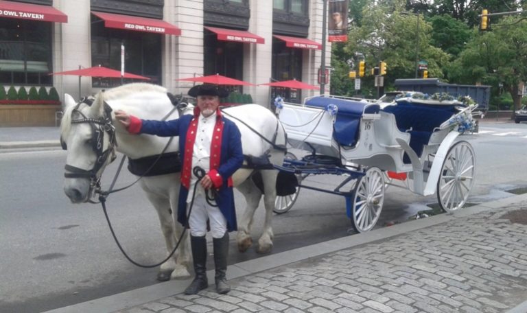 Sightseeing Tours | Philadelphia Trolley Works